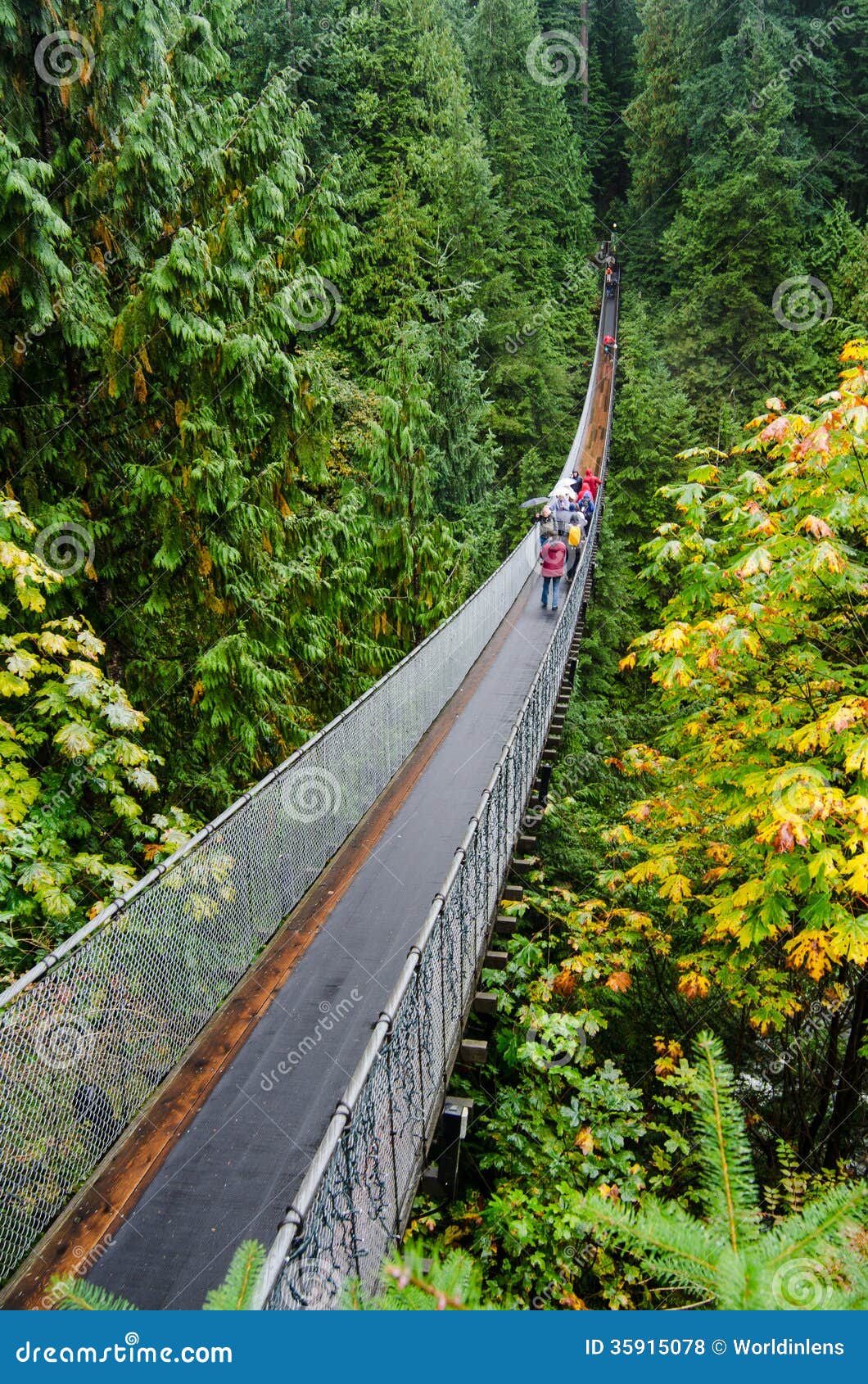 Capilano Suspension Bridge Stock Photography | CartoonDealer.com #35915078