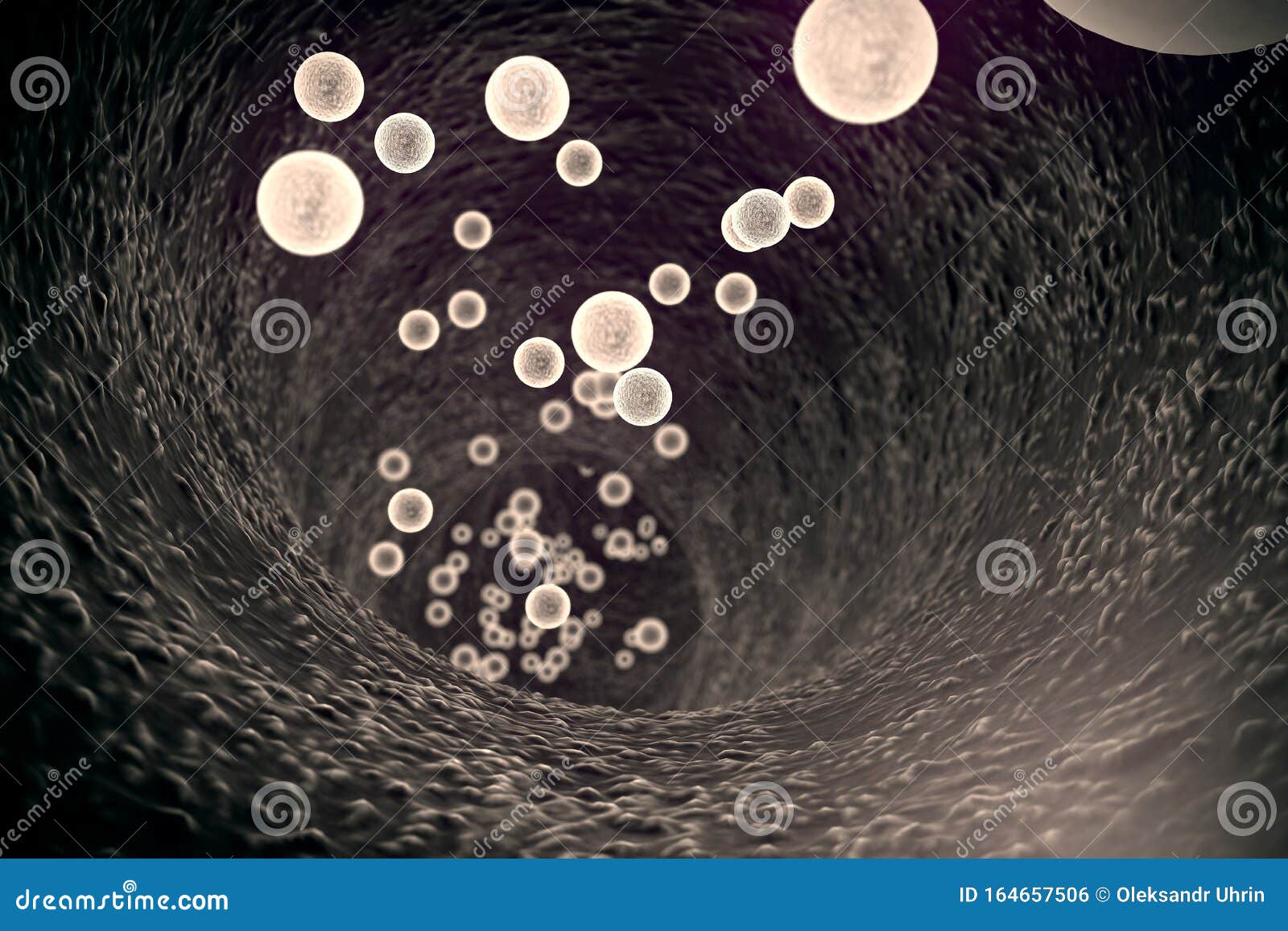 Capillaries on the Cell Surface Stock Illustration - Illustration of ...