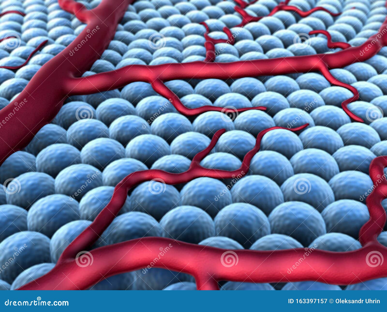 Capillary and cells stock illustration. Illustration of microbial ...