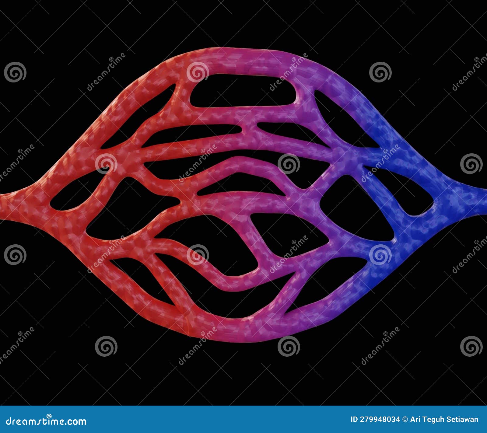 Capillary Network Often Referred To As the Microcirculation Stock ...