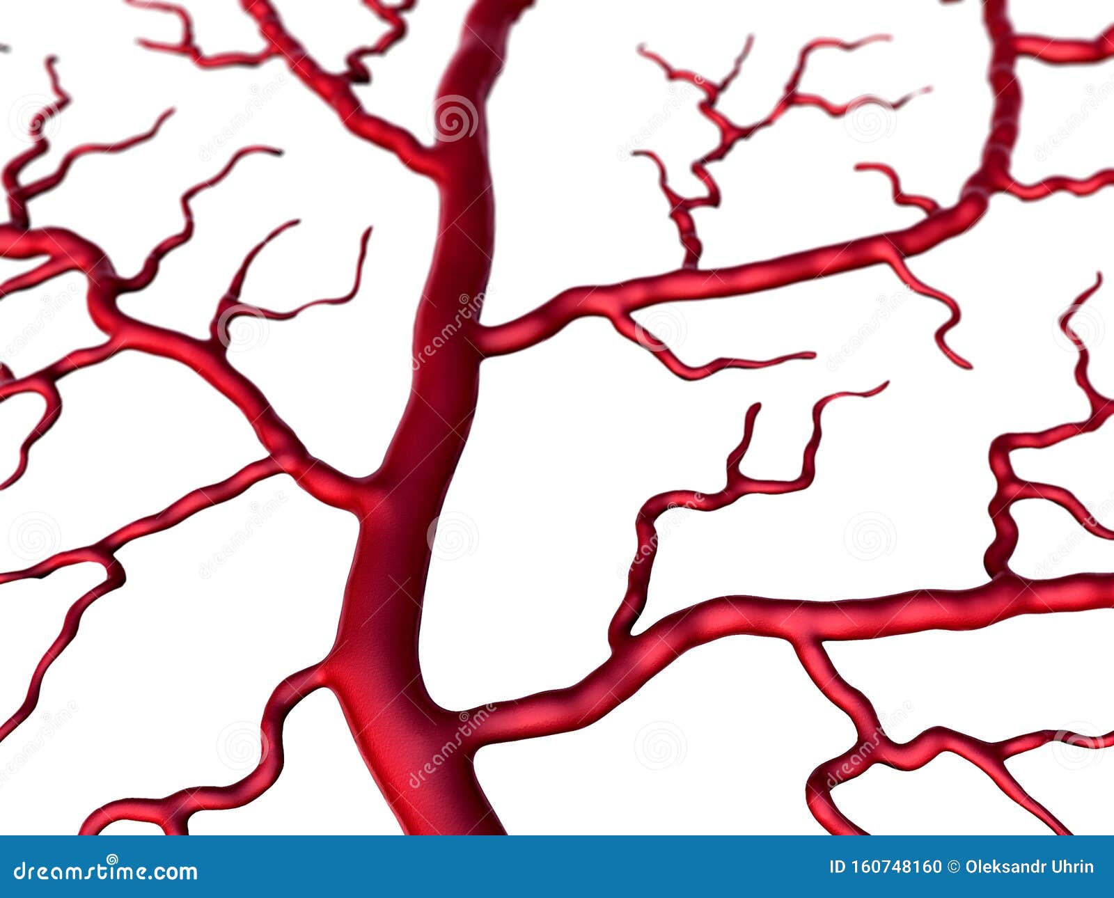 Capillary on the White Background Stock Illustration - Illustration of ...