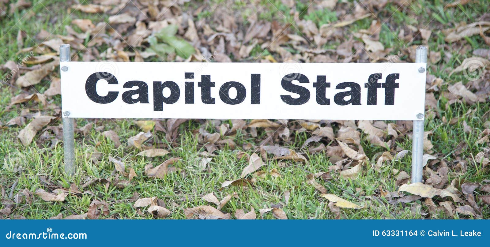 Capital Staff Sign stock photo. Image of laws, election - 63331164