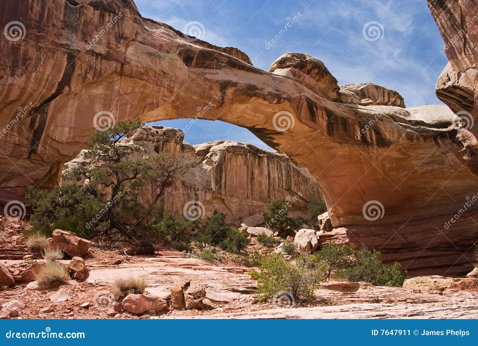 Capitol Reef National Park
