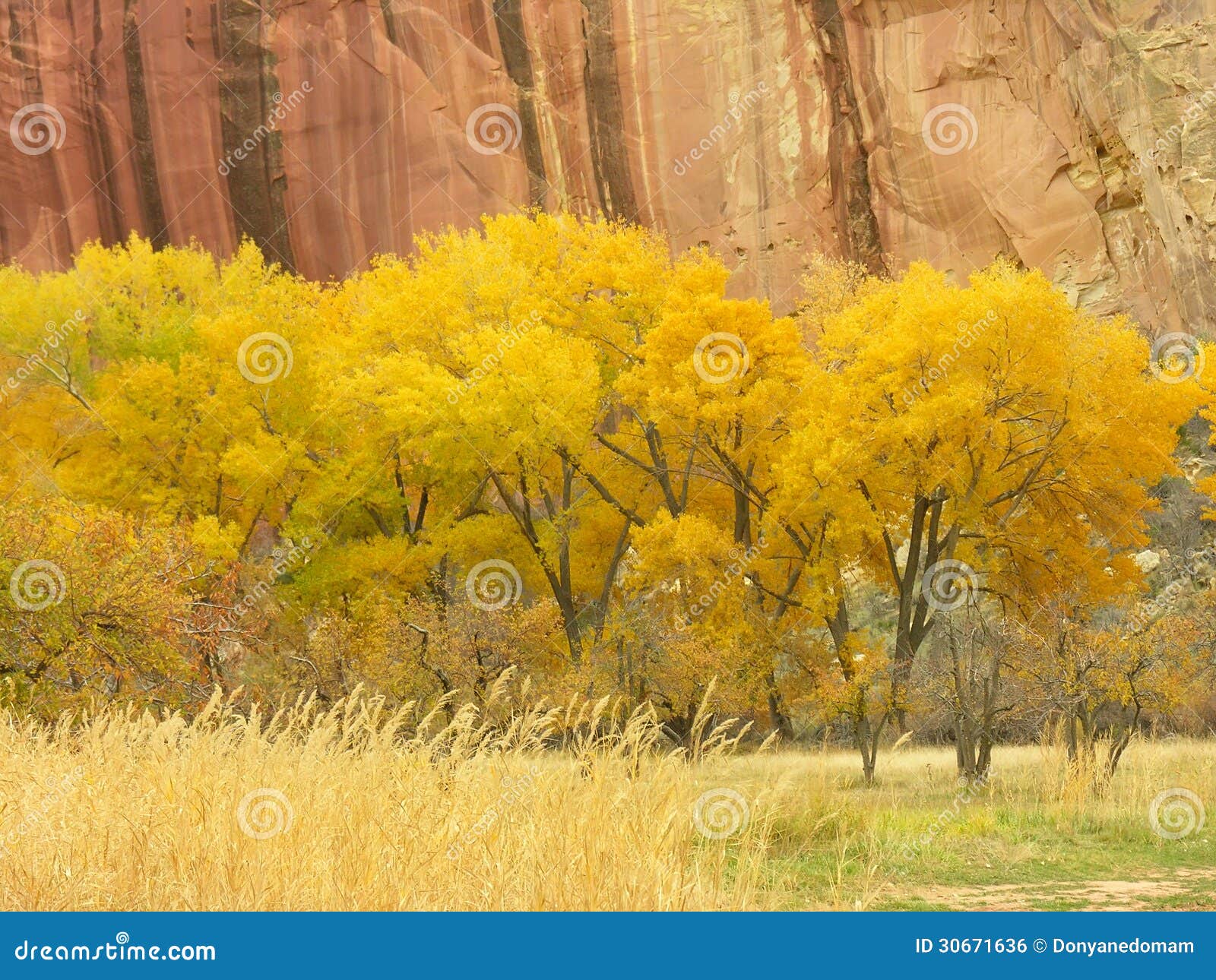 Capitol Reef National Park in a Fall, Utah Stock Photo - Image of ...