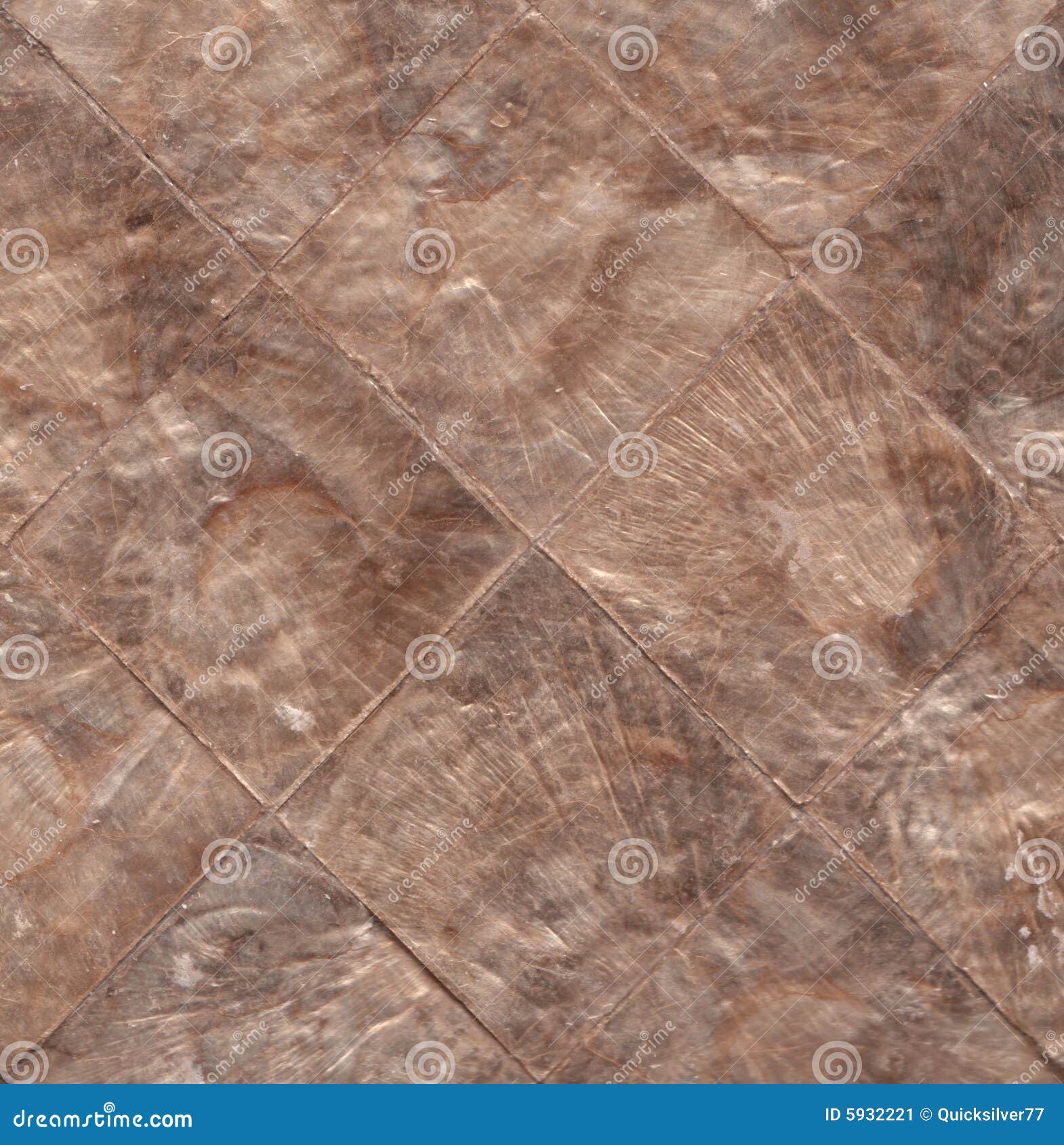 Capiz Sea Shell Texture stock image. Image of color, natural - 5932221