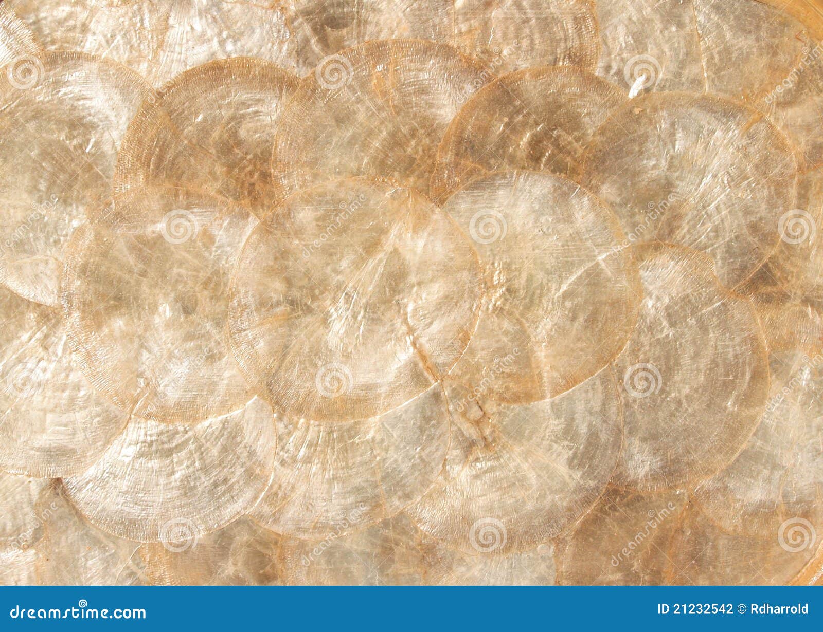 Capiz Shell Background stock photo. Image of shells, capiz - 21232542