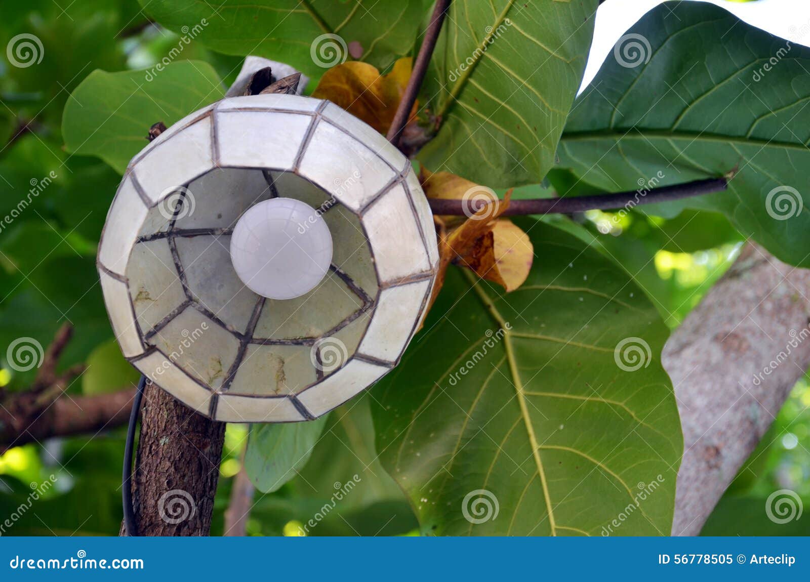 Capiz shell lamp stock image. Image of light, decor, leaves - 56778505