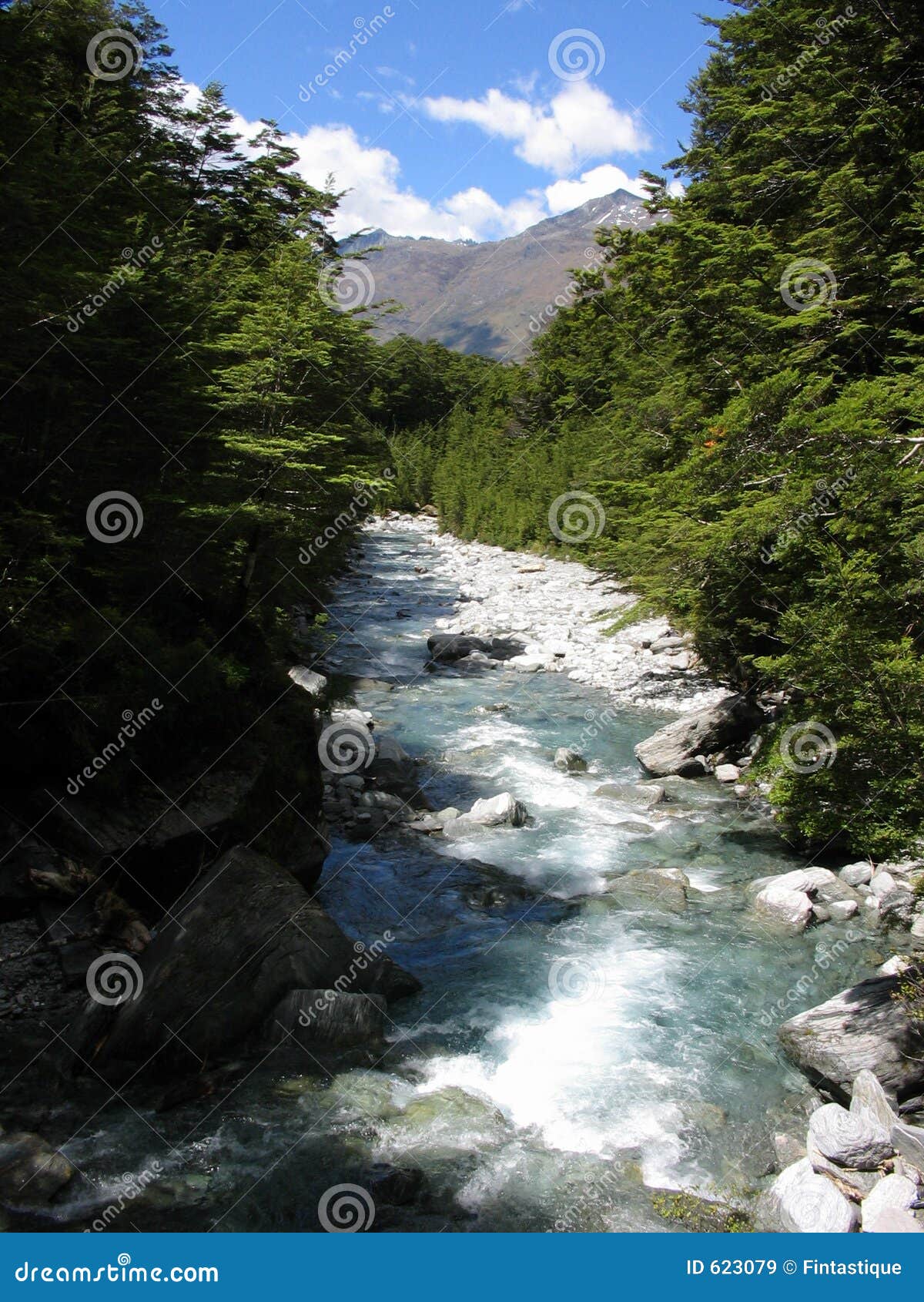 Caples River stock image. Image of mountain, caples, river - 623079