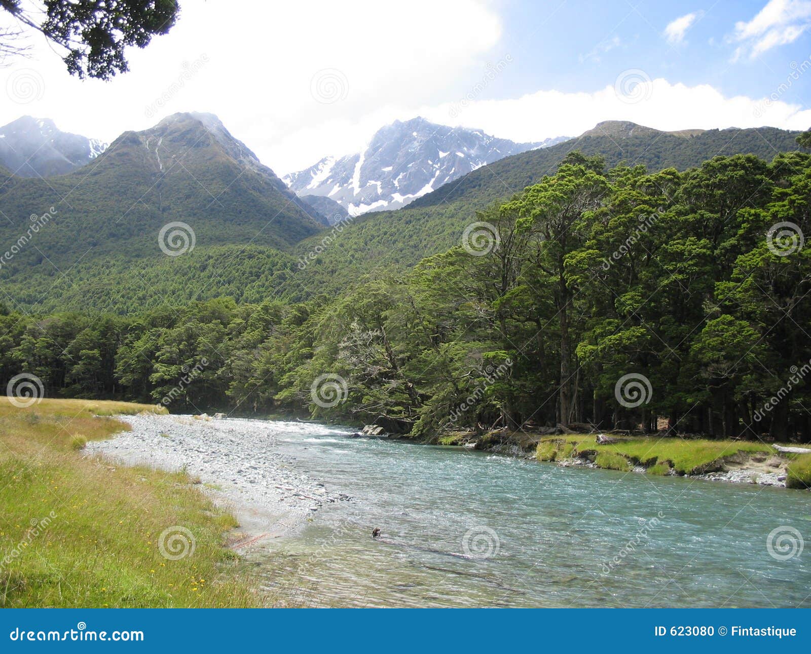 Caples River stock photo. Image of fjord, tributary, bank - 623080