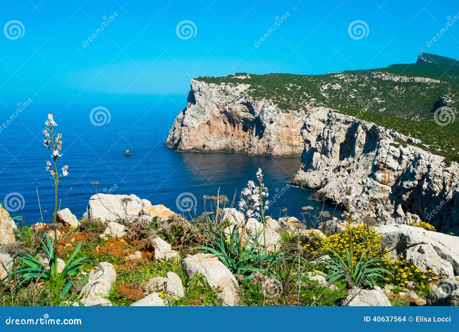Capo Caccia stock photo. Image of scenics, capo, water - 40637564