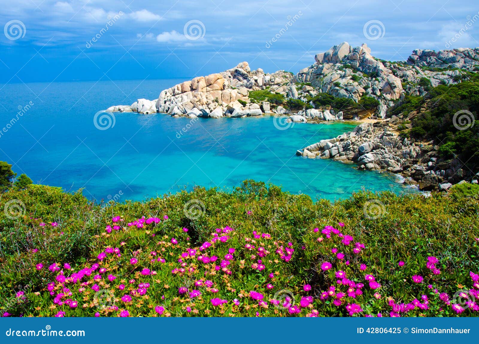 Capo Testa, Sardinia Stock Image | CartoonDealer.com #41591287