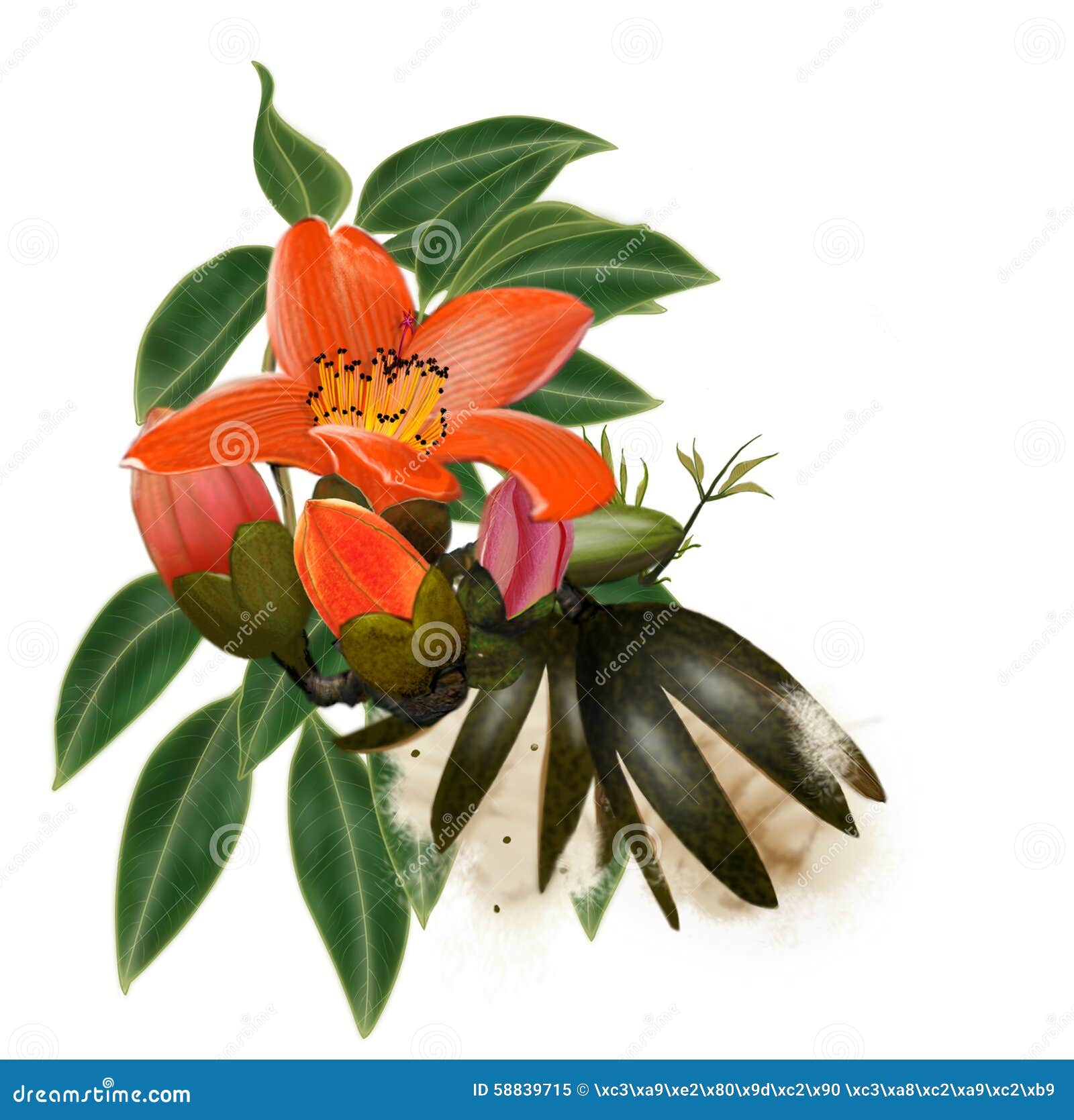 Capoc illustration stock. Illustration du ressort, capoc - 58839715