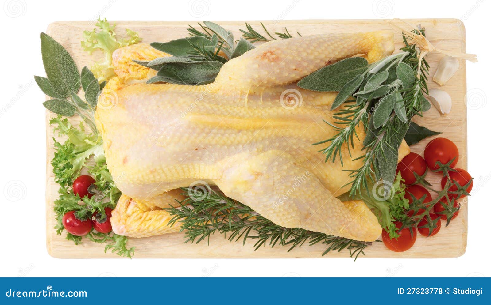 Capon stock photo. Image of feathery, parts, leaves, power - 27323778