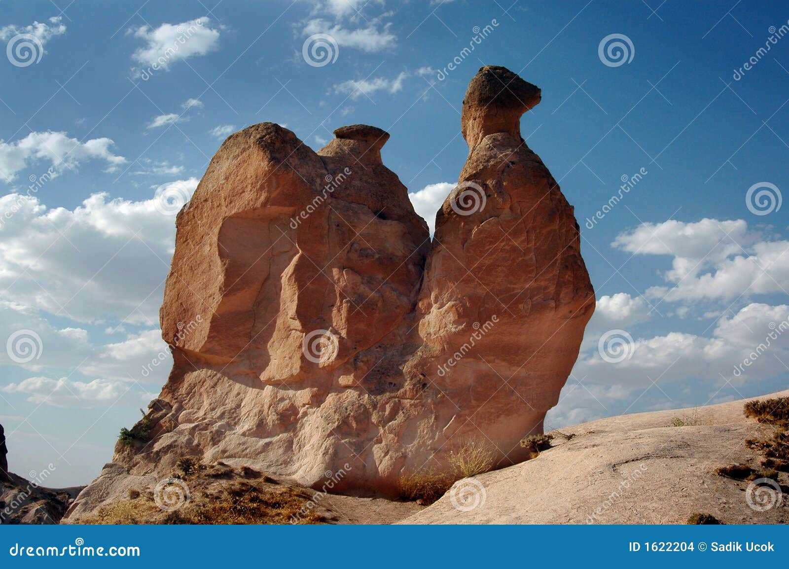 Resemble Camel Rock Stock Photos - Free & Royalty-Free Stock Photos ...