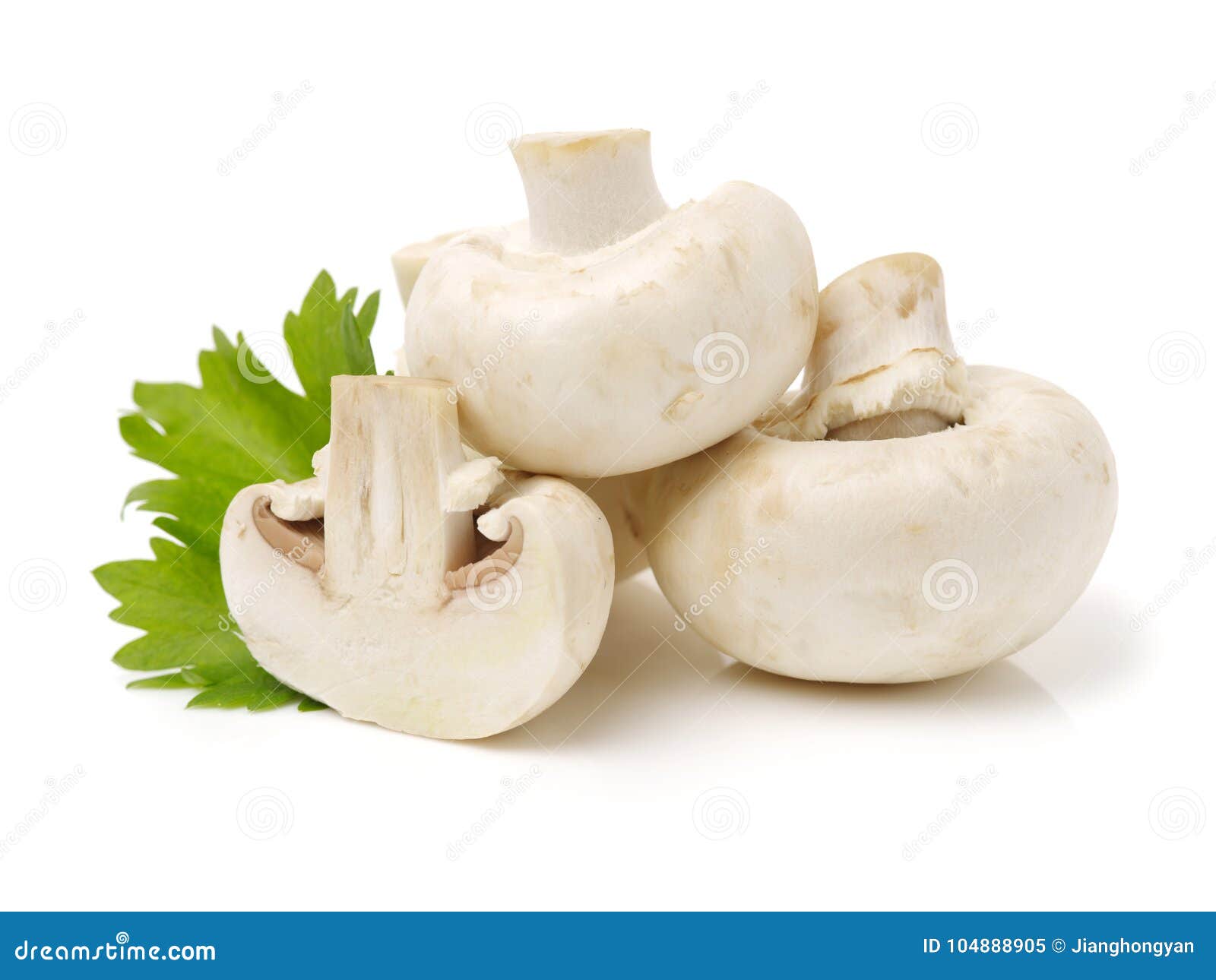 Capped mushroom fotografering för bildbyråer. Bild av friskhet - 104888905