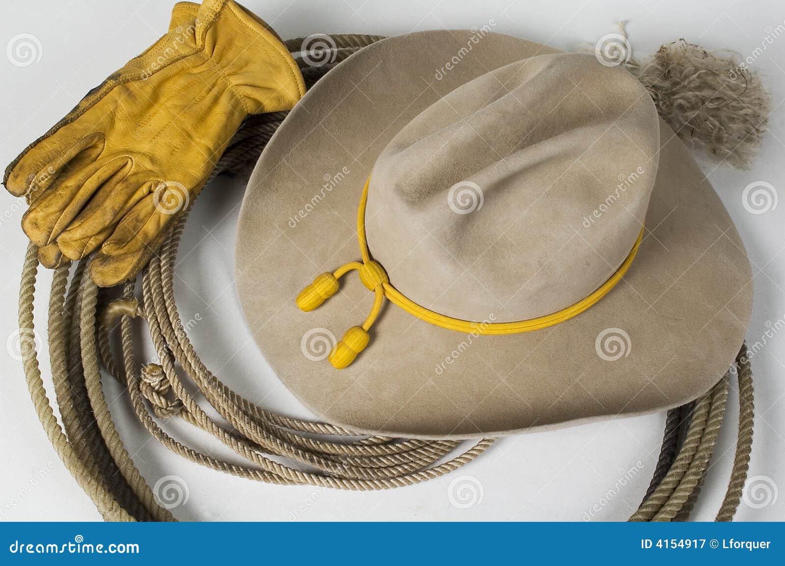 Cowboy Hat 4 Immagine. Immagine: 4154917