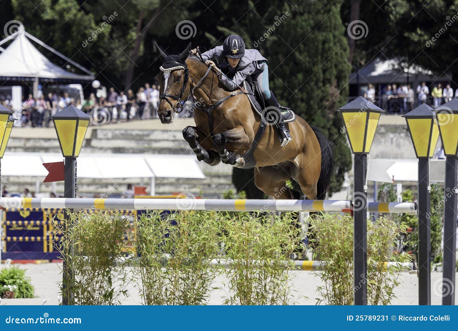 Capponi francesca editorial photo. Image of siena, city - 25789231