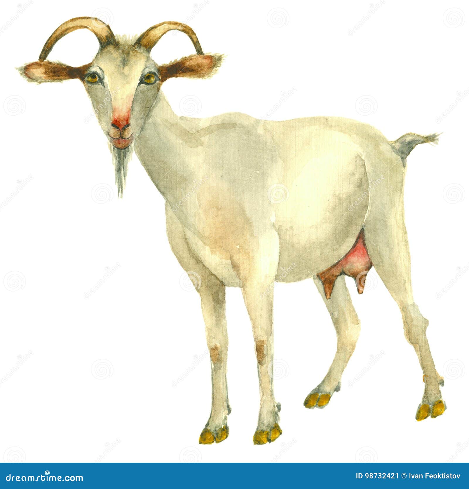 Capra disegnata a mano illustrazione di stock. Illustrazione di ...