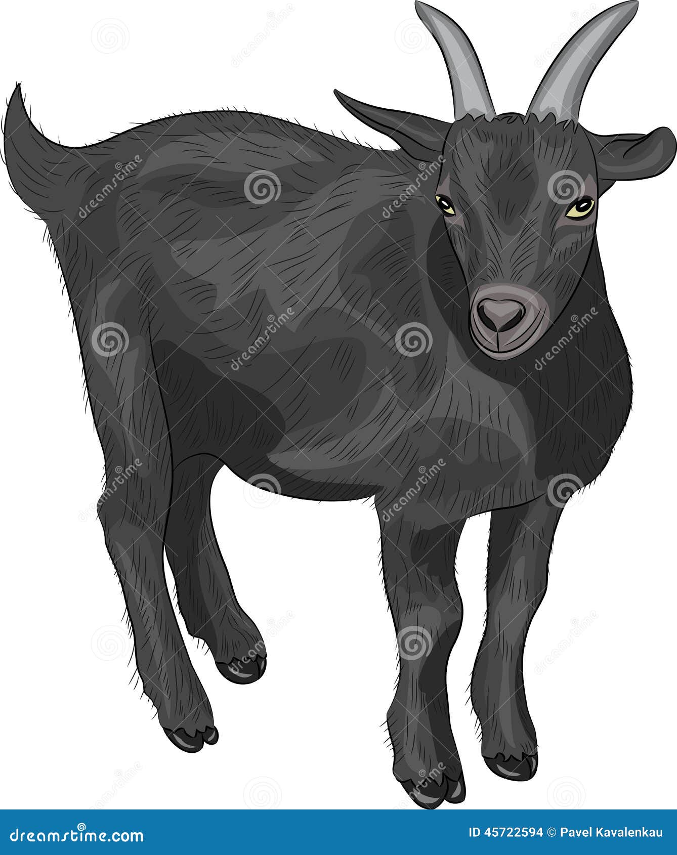 Capra nera di vettore illustrazione vettoriale. Illustrazione di ...