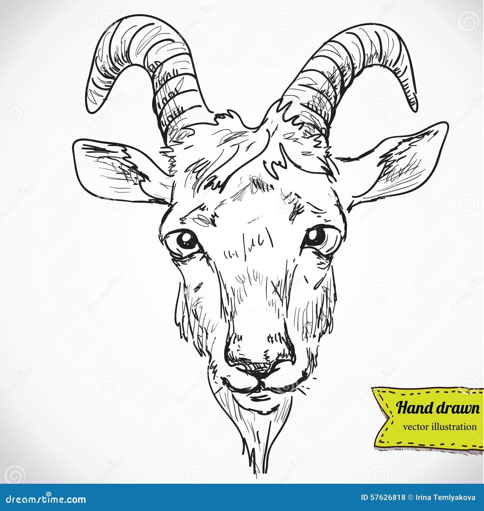 Capra - Un Ritratto - Un Disegno Di Vettore Illustrazione Vettoriale ...