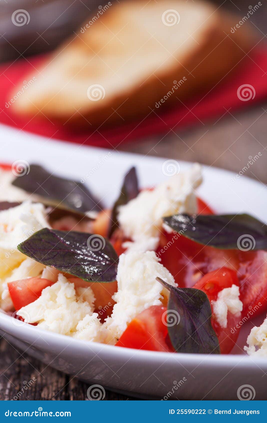 Caprese stock photo. Image of appetizer, caprese, vegetable - 25590222