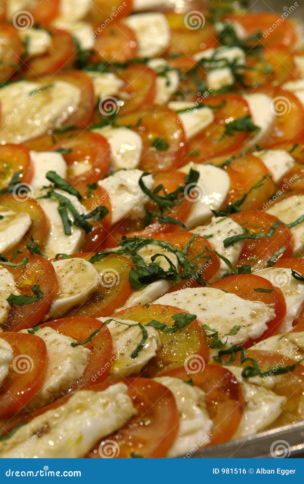 Caprese stock photo. Image of cheese, taste, olive, tomatoes - 981516