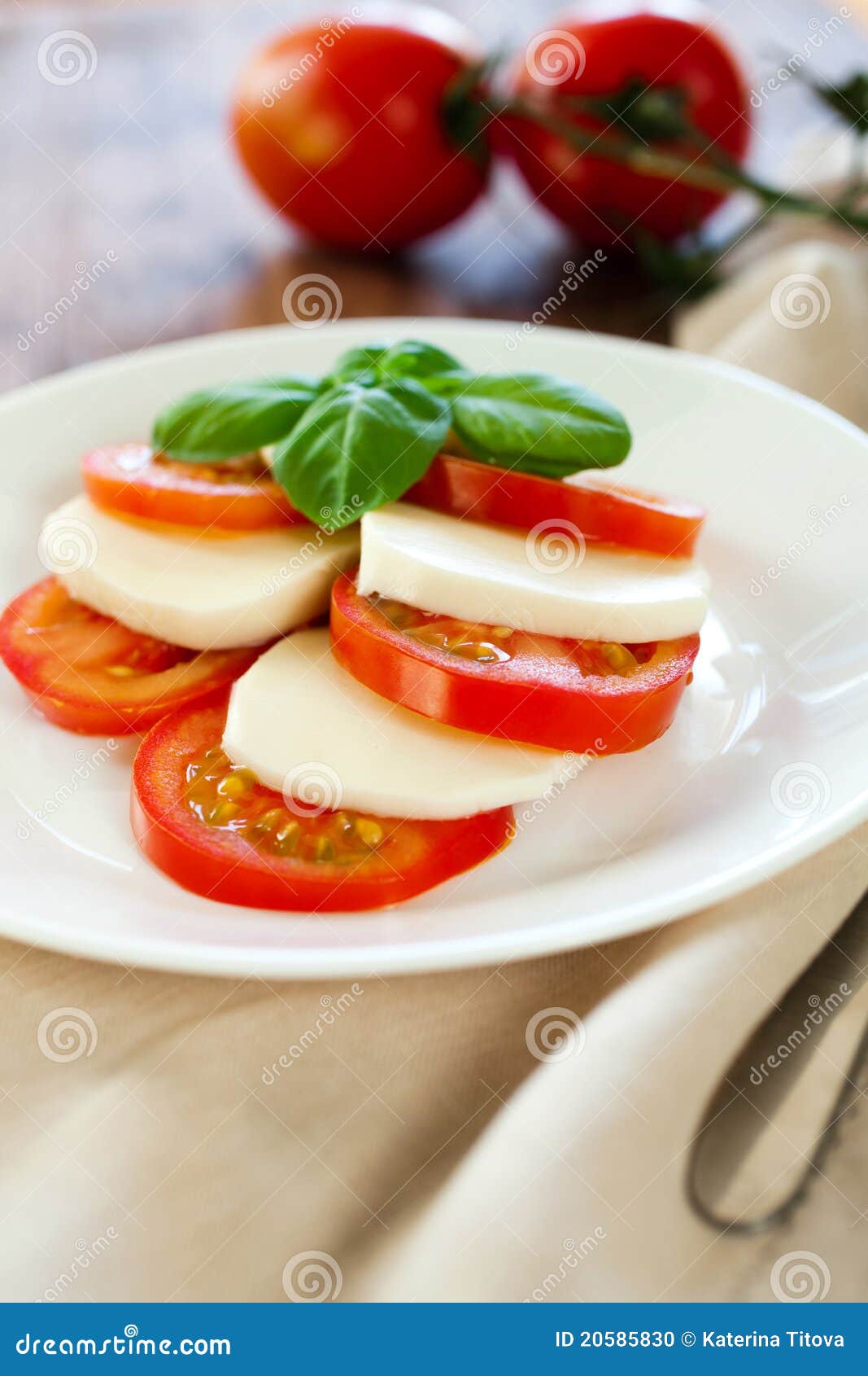 Caprese salad stock photo. Image of caprese, plate, italian - 20585830