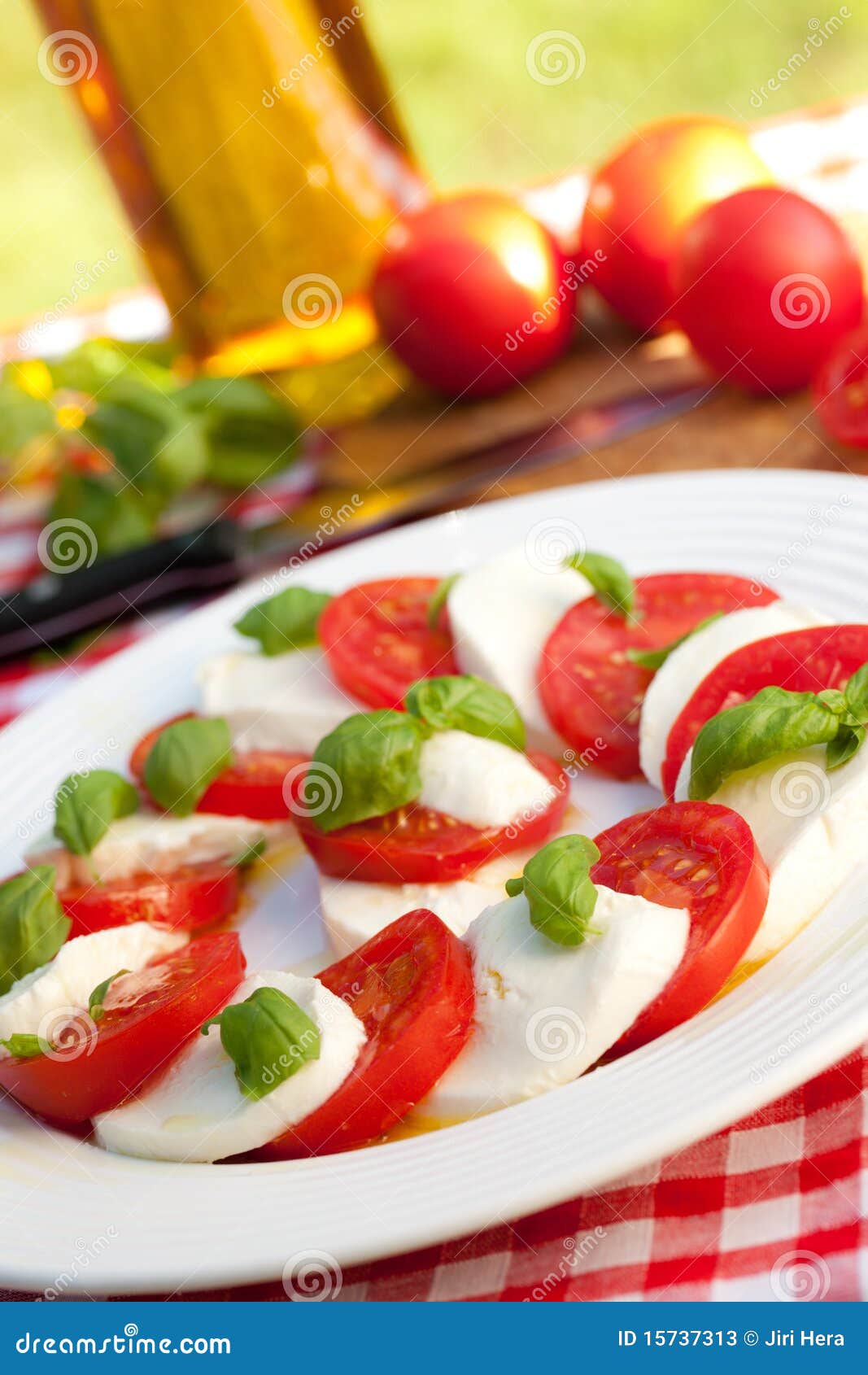 Caprese Salad on White Plate Stock Image - Image of dinner, insalata ...