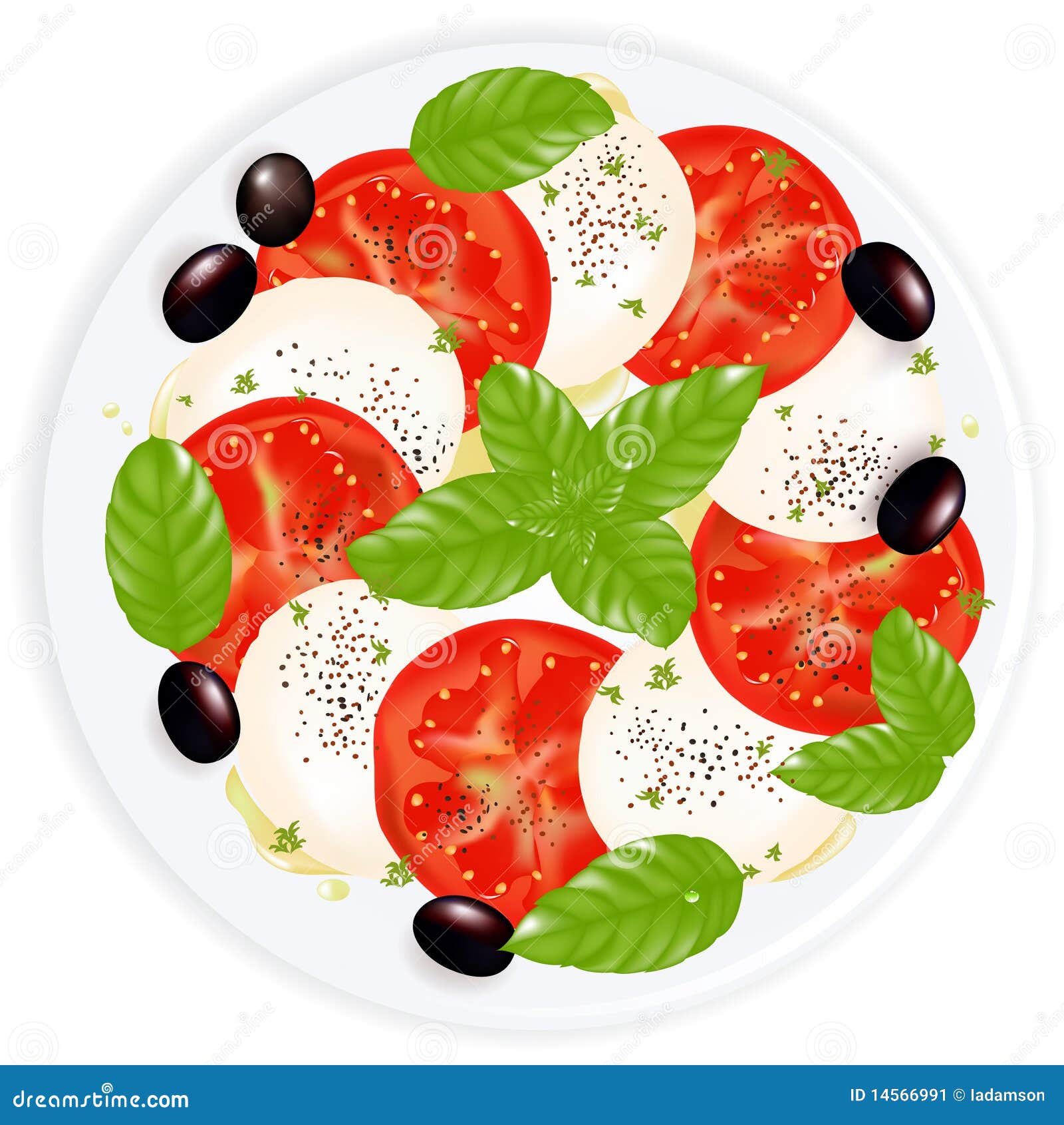 Caprese Salat. Vektor vektor abbildung. Illustration von abbildung ...