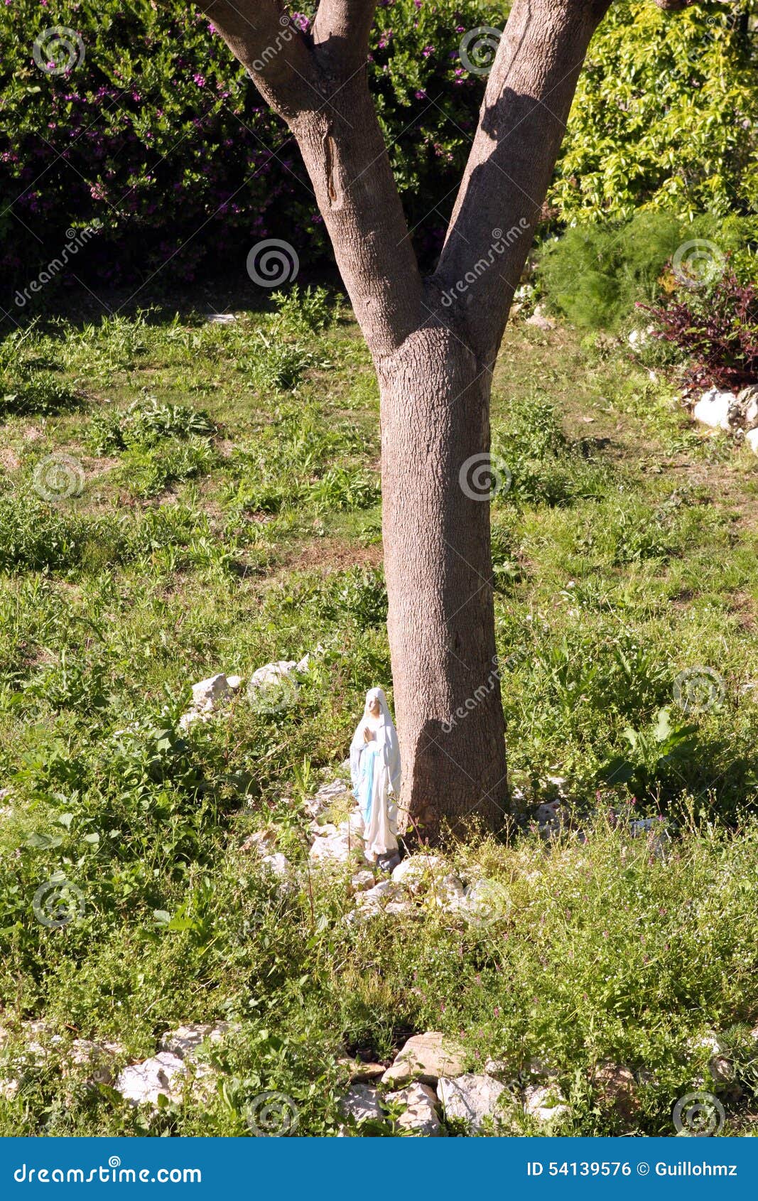 Capri island - Italia stock photo. Image of island, heart - 54139576