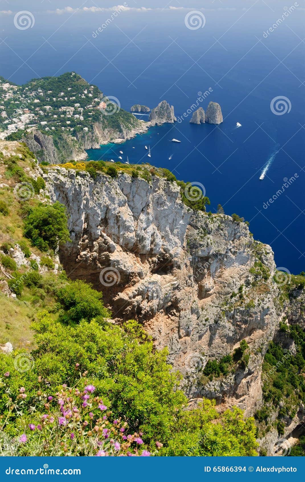 Capri island stock photo. Image of solaro, island, vegetation - 65866394