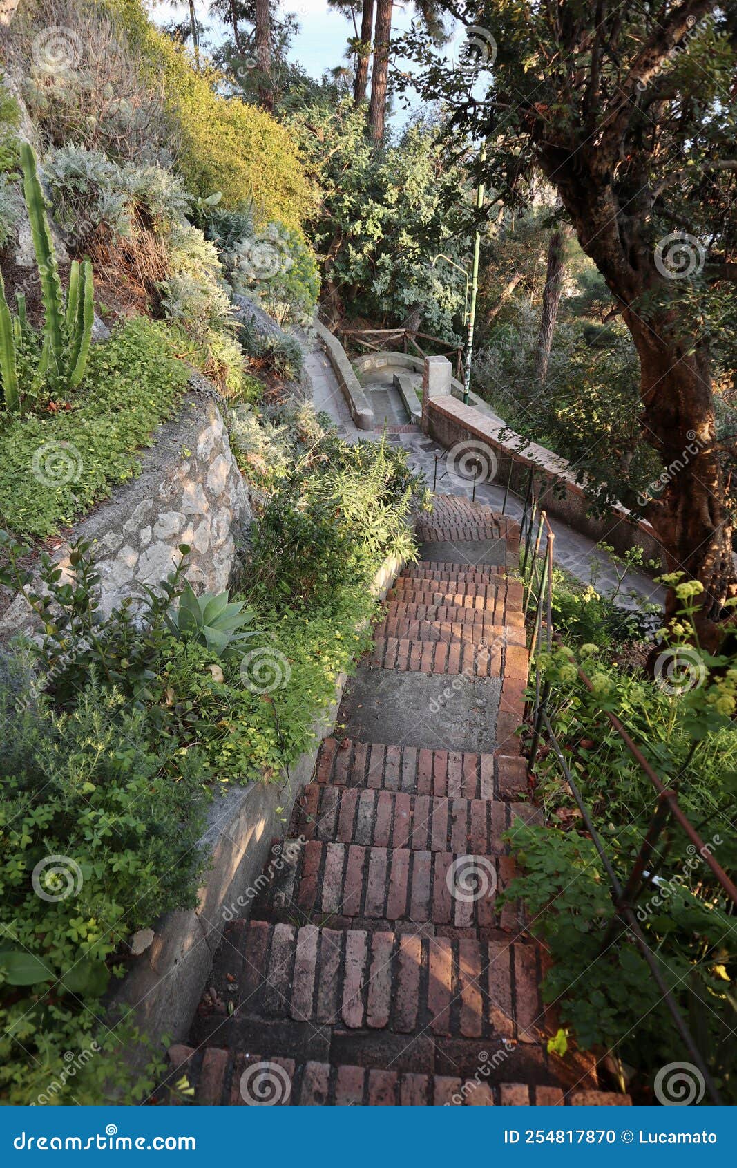 Capri - Scalinata Di Via Tragara Stock Photo - Image of pizzolungo ...