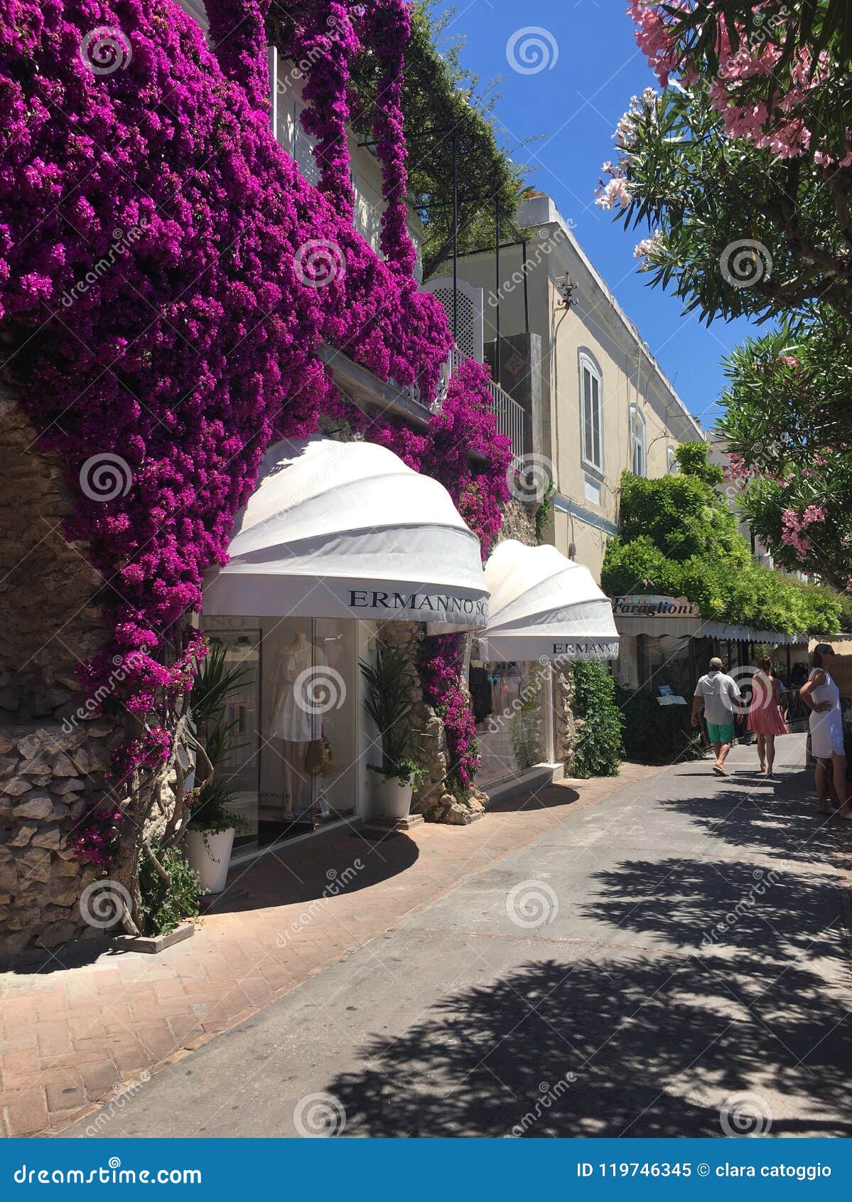 Capri editorial image. Image of streets, purple, flowers - 119746345