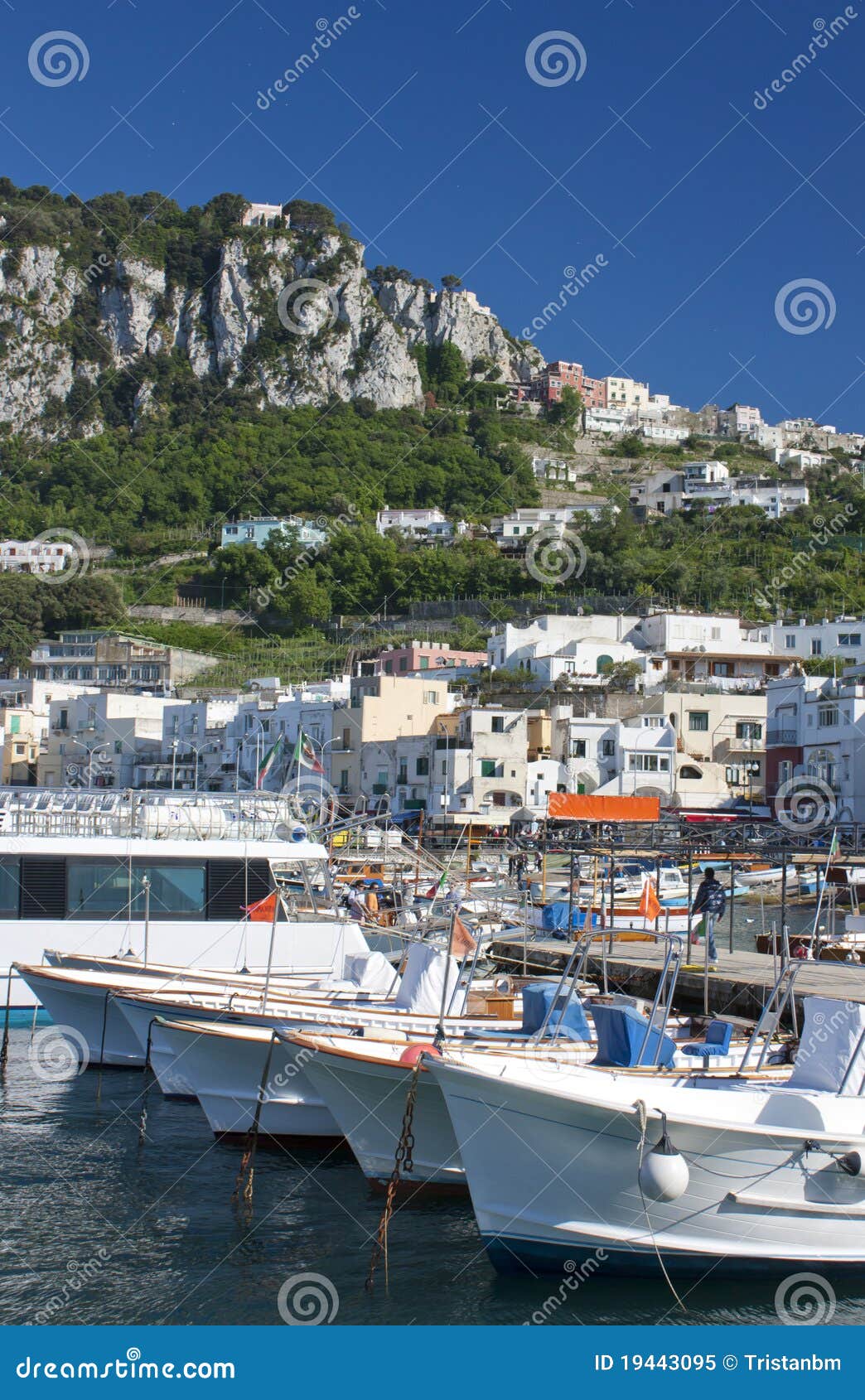 Capri - view of port stock image. Image of trees, harbor - 19443095