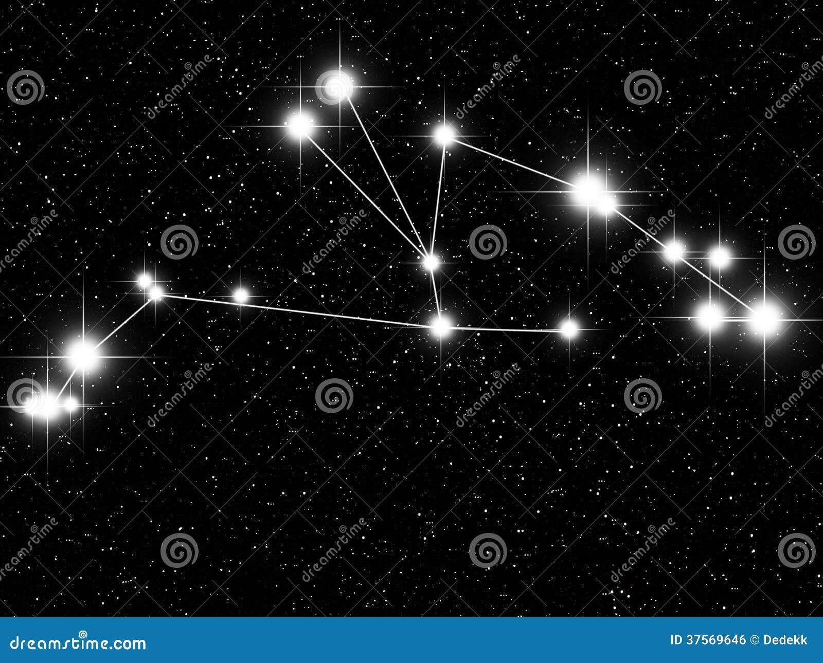 Capricornus stock illustration. Illustration of ornament - 37569646