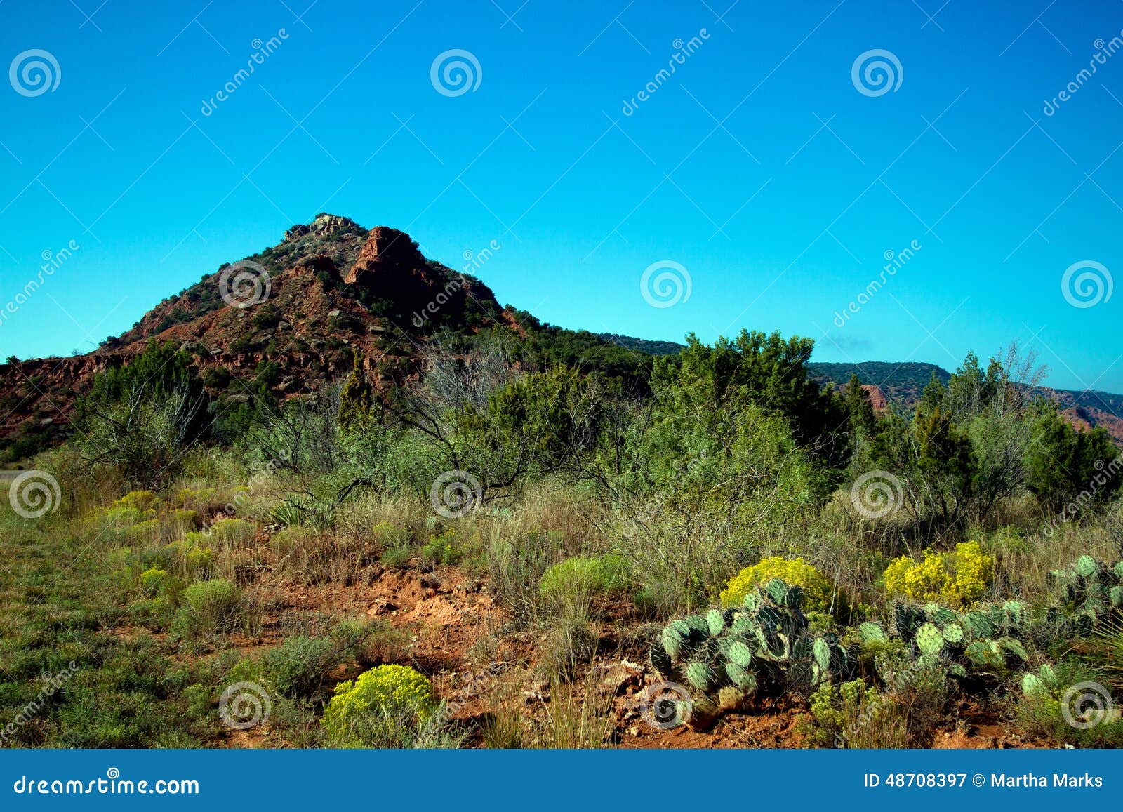Caprock Erosion Patterns In The Badlands Royalty-Free Stock Photo ...