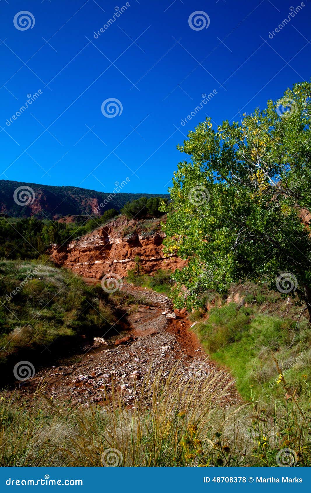 Caprock Canyons State Park in Texas Stock Photo - Image of texas, white ...
