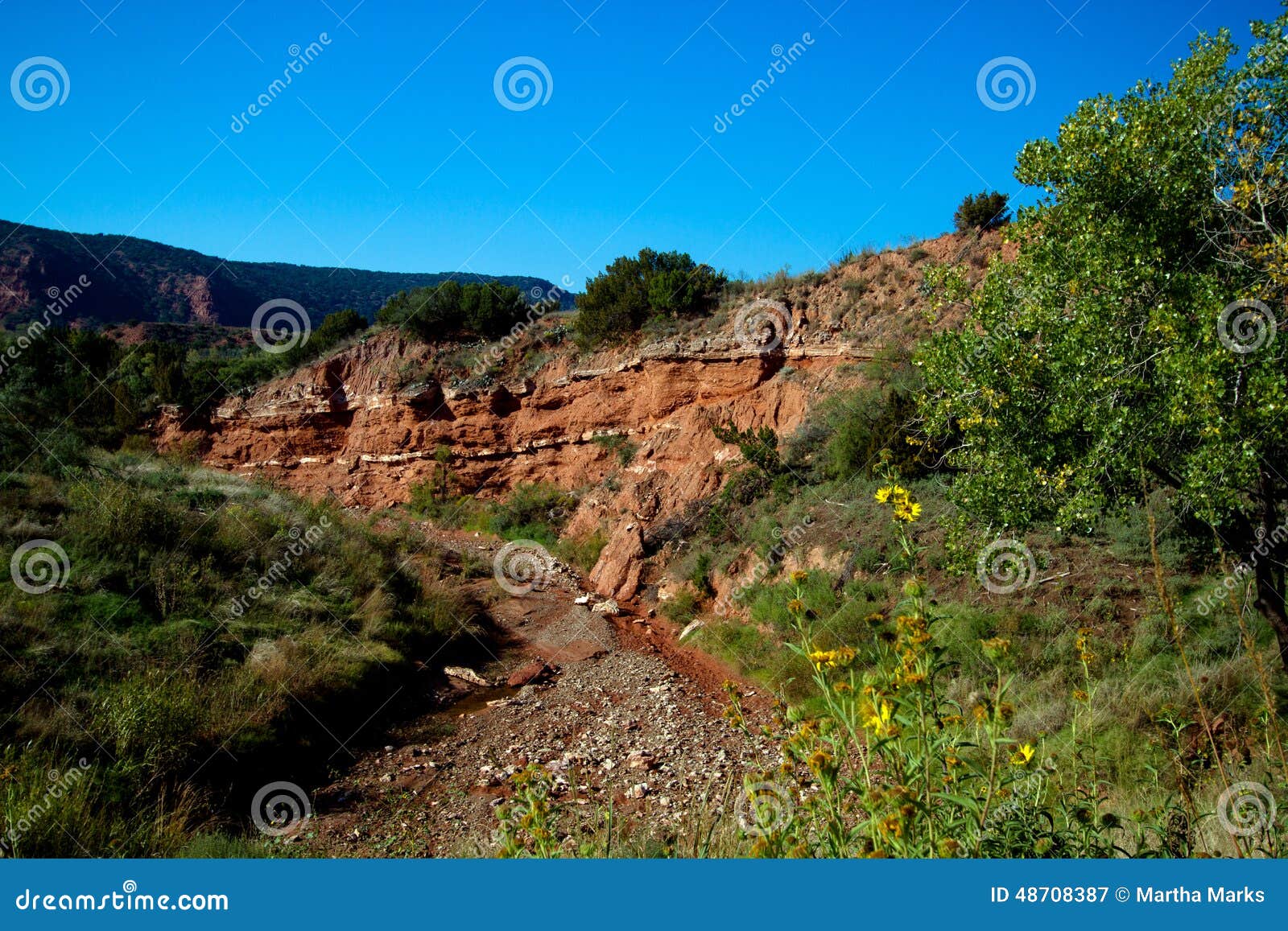 Caprock Canyons State Park in Texas Stock Image - Image of square ...