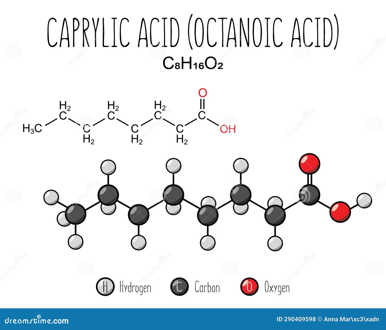 Caprylic Acid. Octanoic Acid Or C8. Structural Chemical Formula And 3d ...