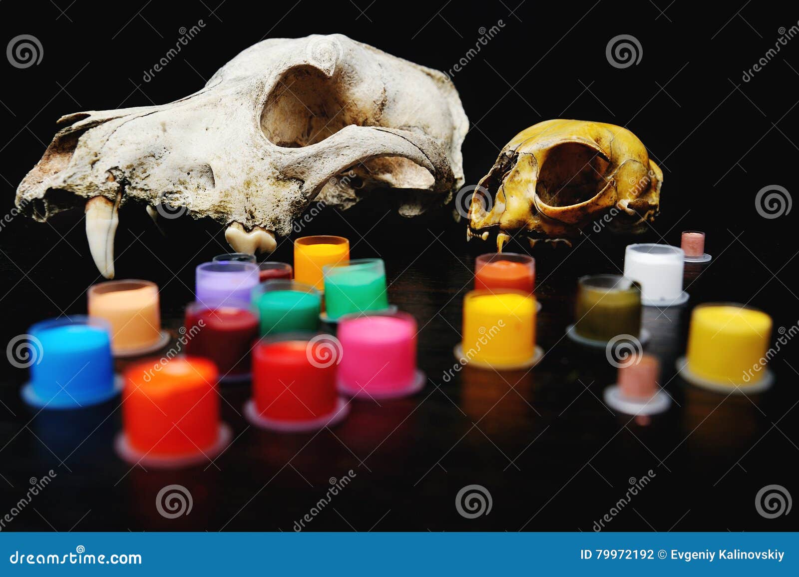 Caps for Tattoo Ink with Colored on the Background of a Skull. Stock ...