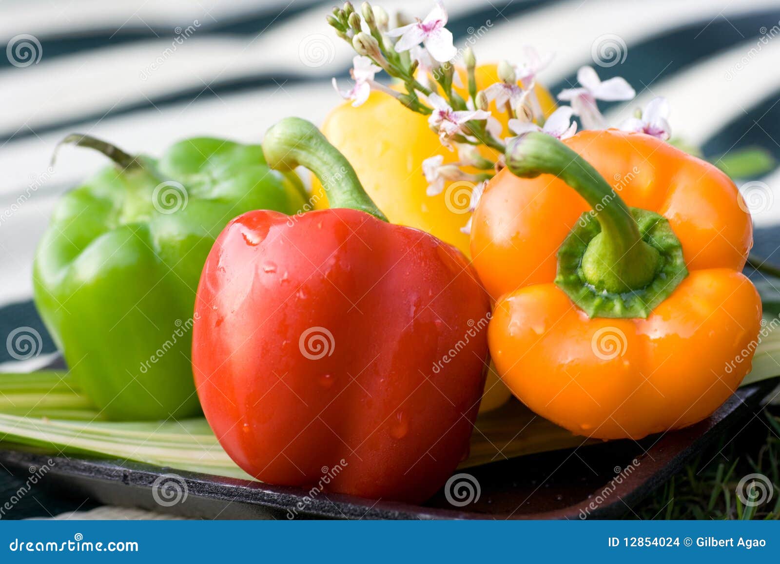 Capsicum stock photo. Image of market, greenflowers, pepper - 12854024