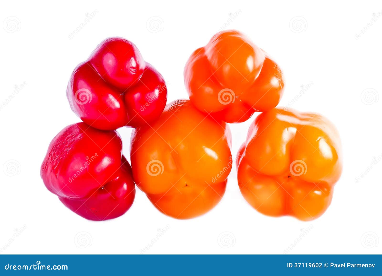 Capsicum annuum cultivars stock foto. Image of bulgaars - 37119602