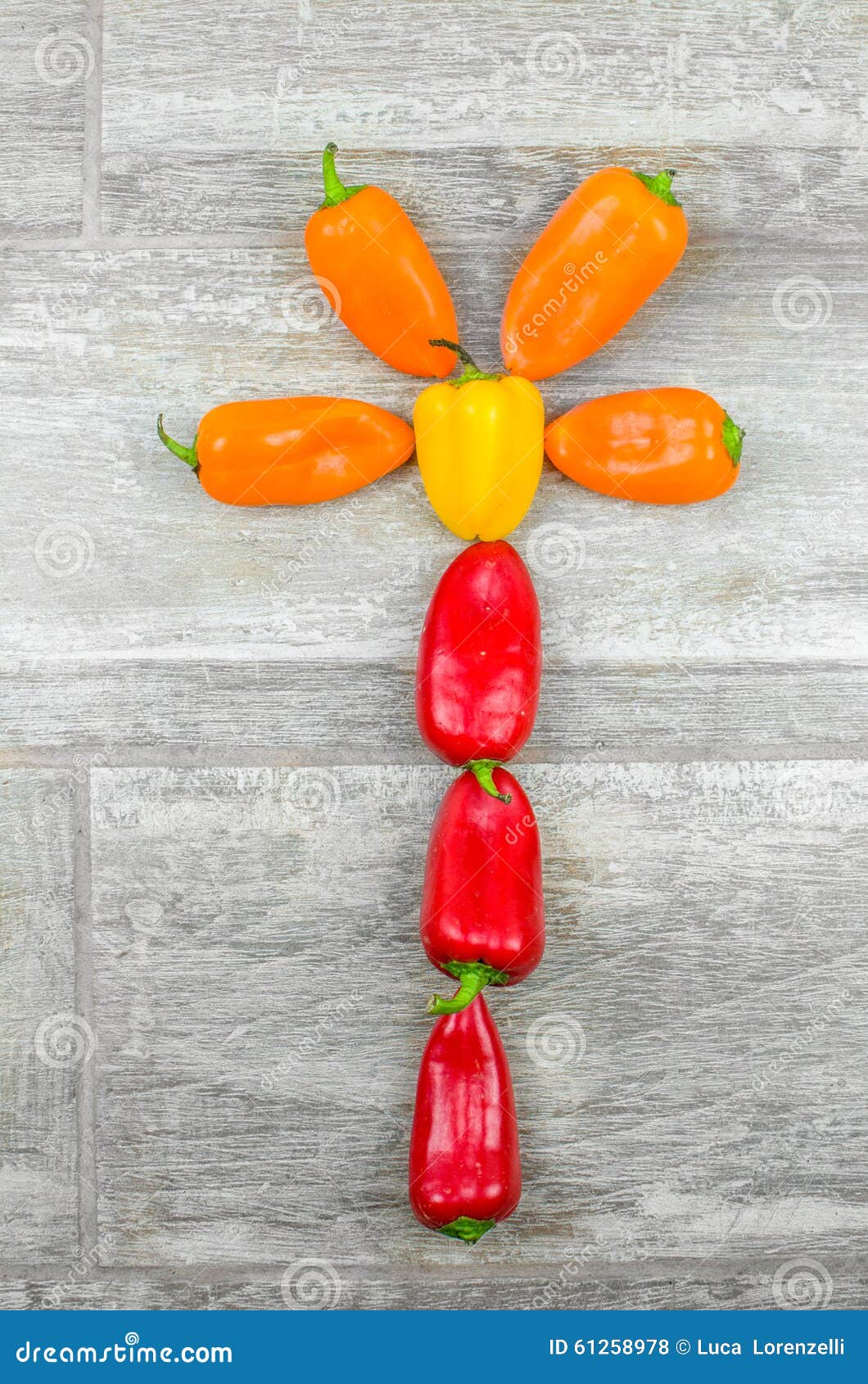 Capsicum Background Flower Colorful Stock Photo - Image of little ...