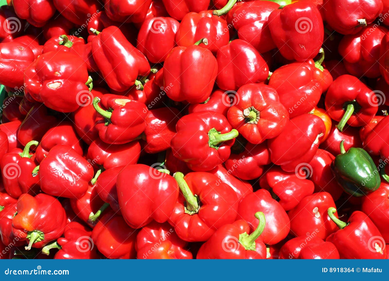 Capsicum (Bell pepper) stock photo. Image of bell, market - 8918364