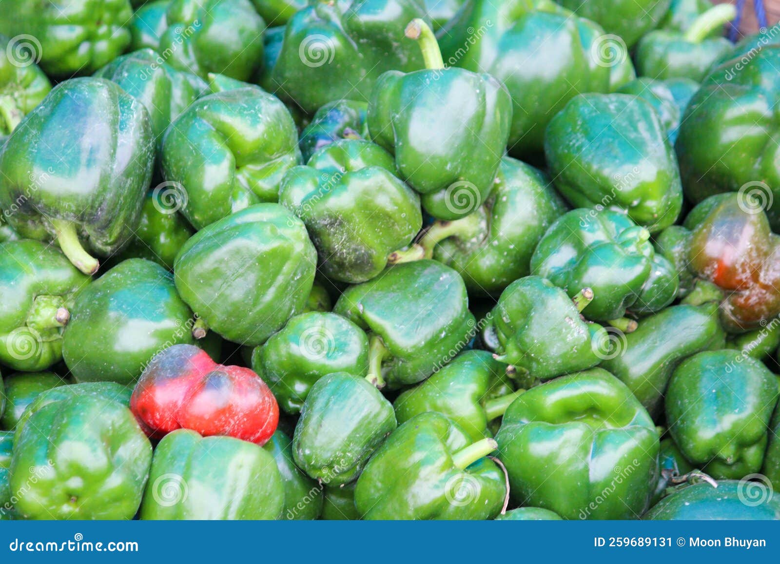 Capsicum, Also Known As Red Pepper Or Chili Pepper, Is An Herb. Its ...