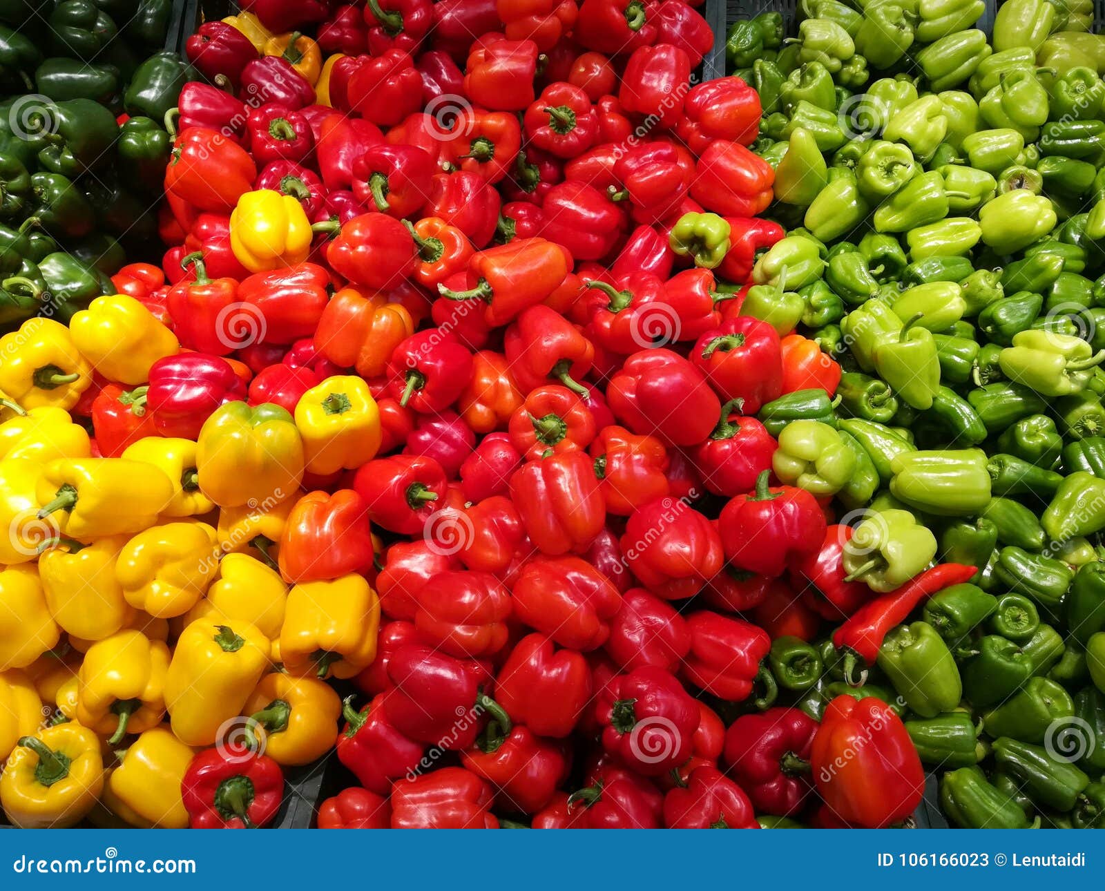 Capsicum of Different Colours Stock Image - Image of food, color: 106166023