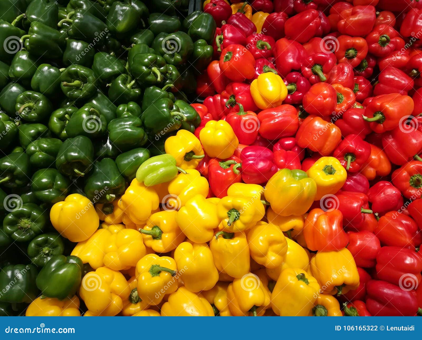 Capsicum of Different Colours Stock Photo - Image of descriptive ...