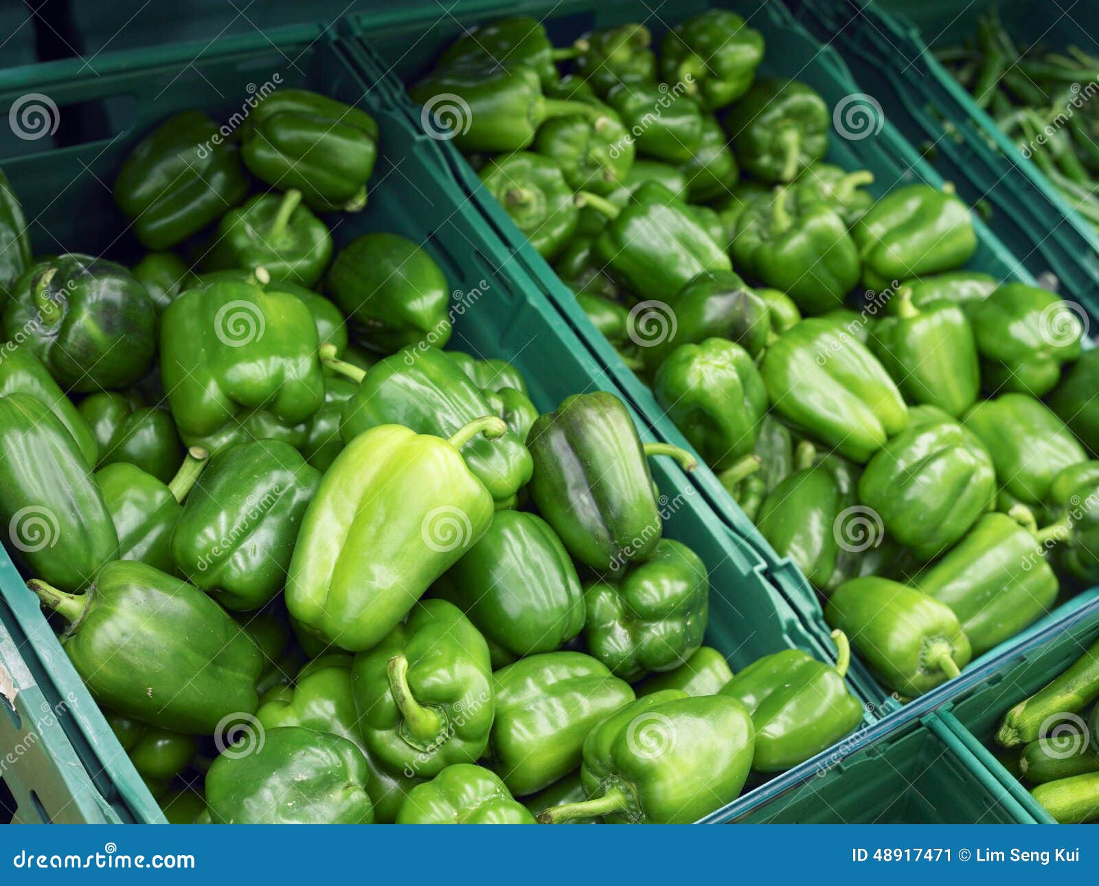Capsicum stock image. Image of horizontal, choice, life - 48917471