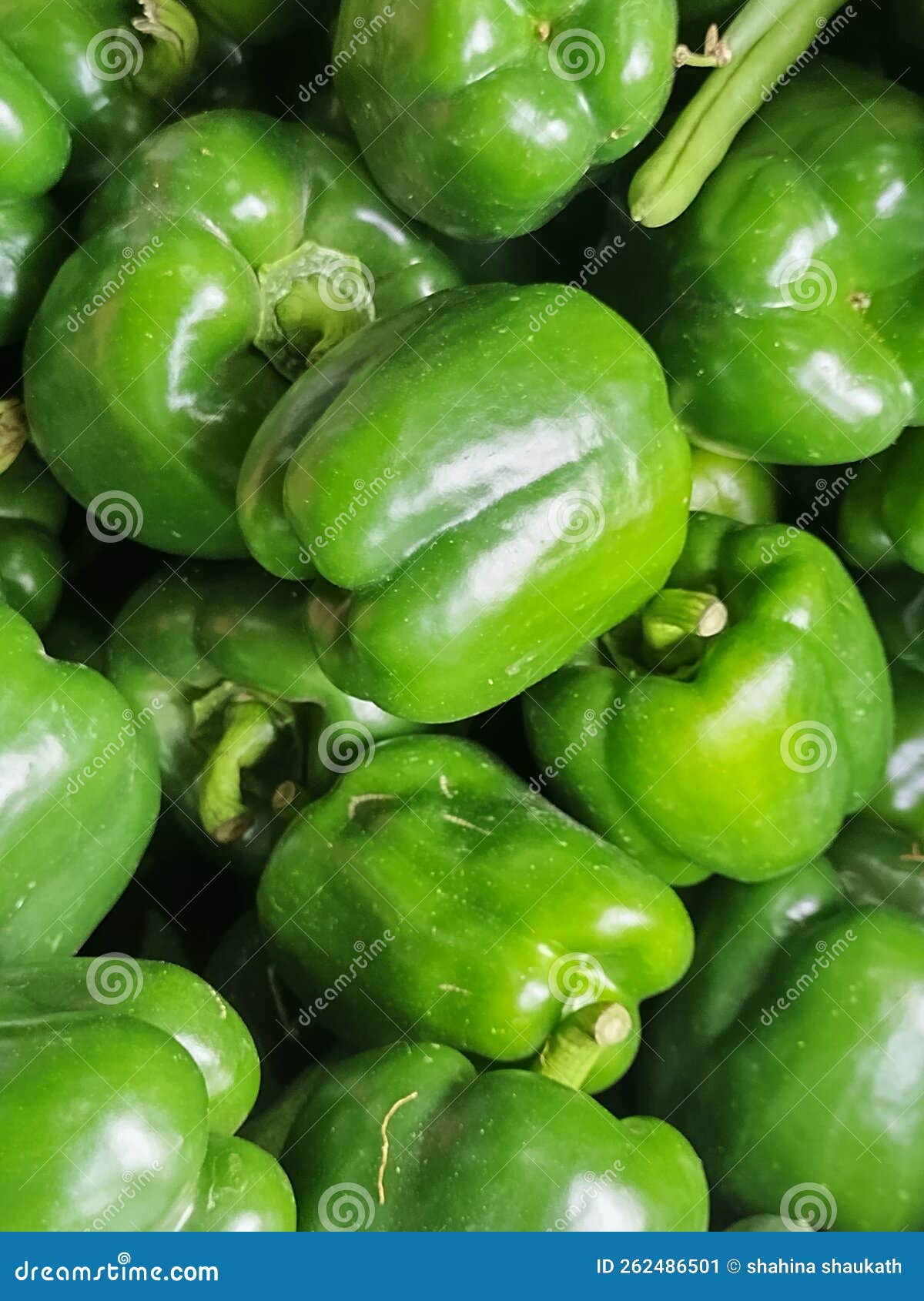 Capsicum stock image. Image of flower, citrus, food - 262486501