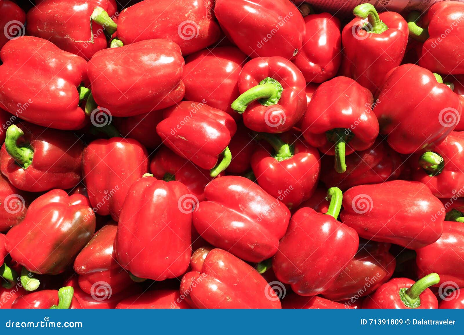 Capsicum group stock image. Image of color, organic, paprika - 71391809